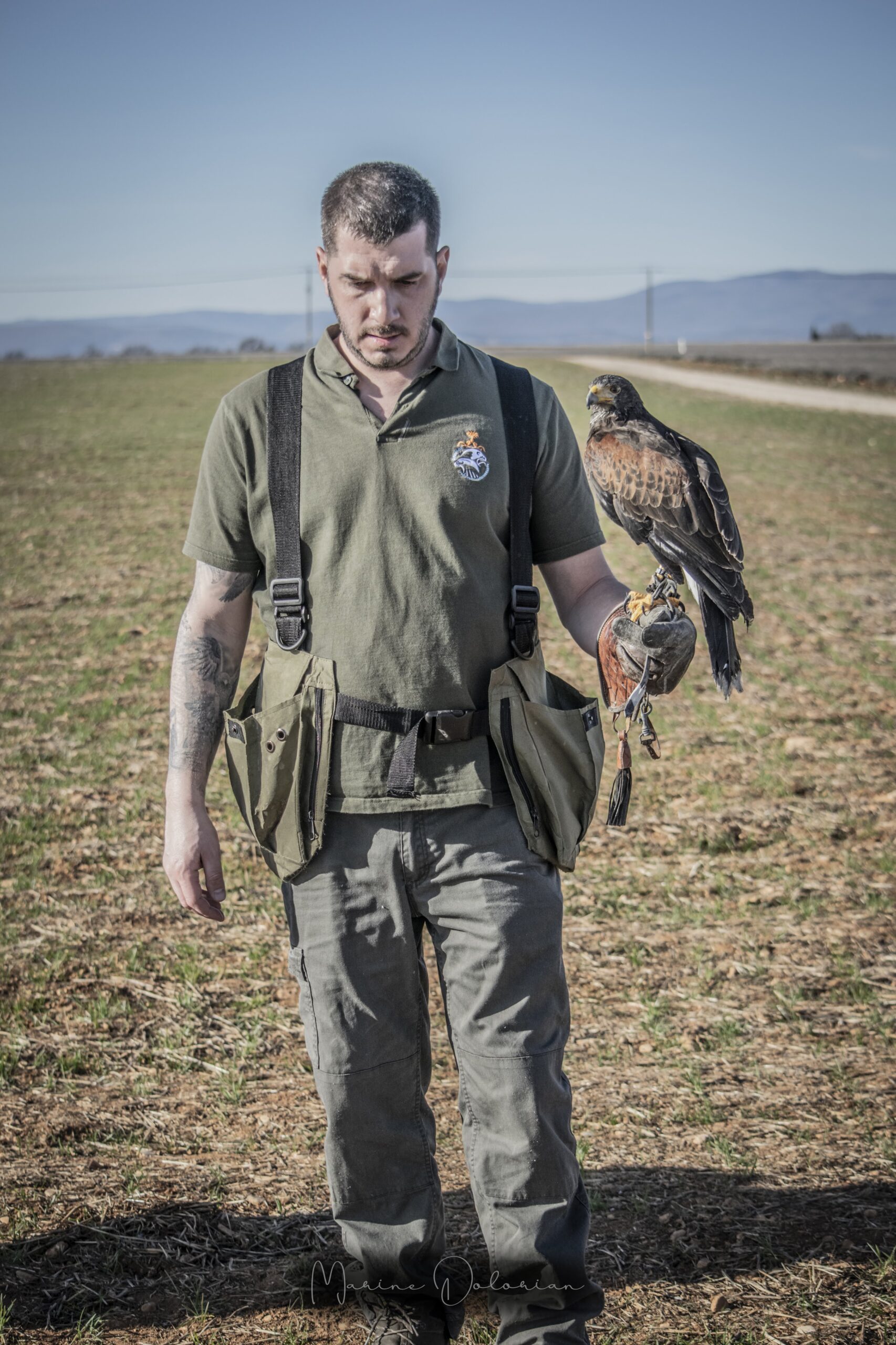 La Fauconnerie - Fédération Française de Fauconnerie